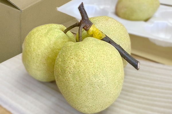 旺宏農場- 水梨、蜜梨，新興梨，SGS檢驗無農藥殘留水梨，中秋節水梨禮盒，新鮮宅配到家